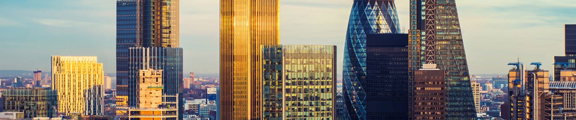 Contact us - YV Global